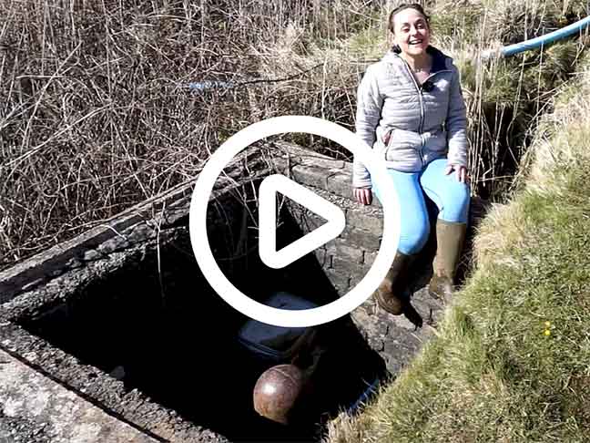 Articles - Green and Carter